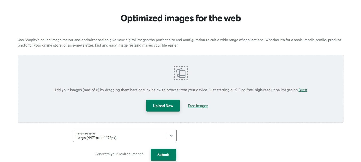 How to Easily Adjust your Shopify Logo Size for your Store